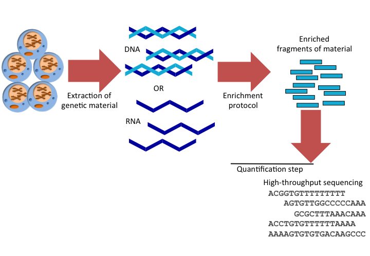 Introduction to BASH and Sequence Analysis - 7 A typical bioinformatics workflow